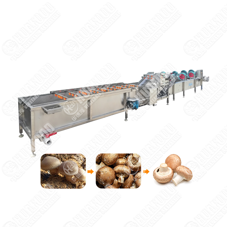 Leafy vegetable washing and drying line