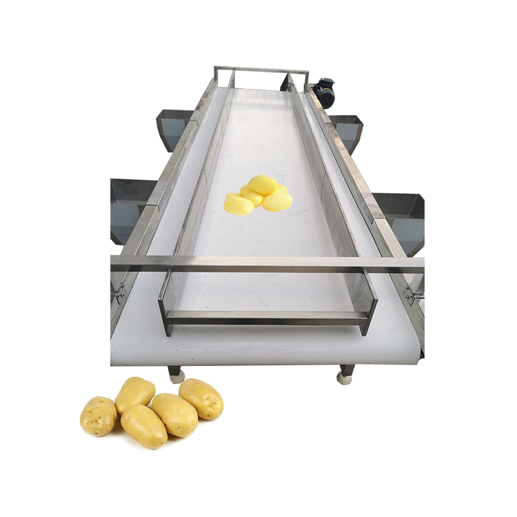 Stainless steel potato lemon sorter machine